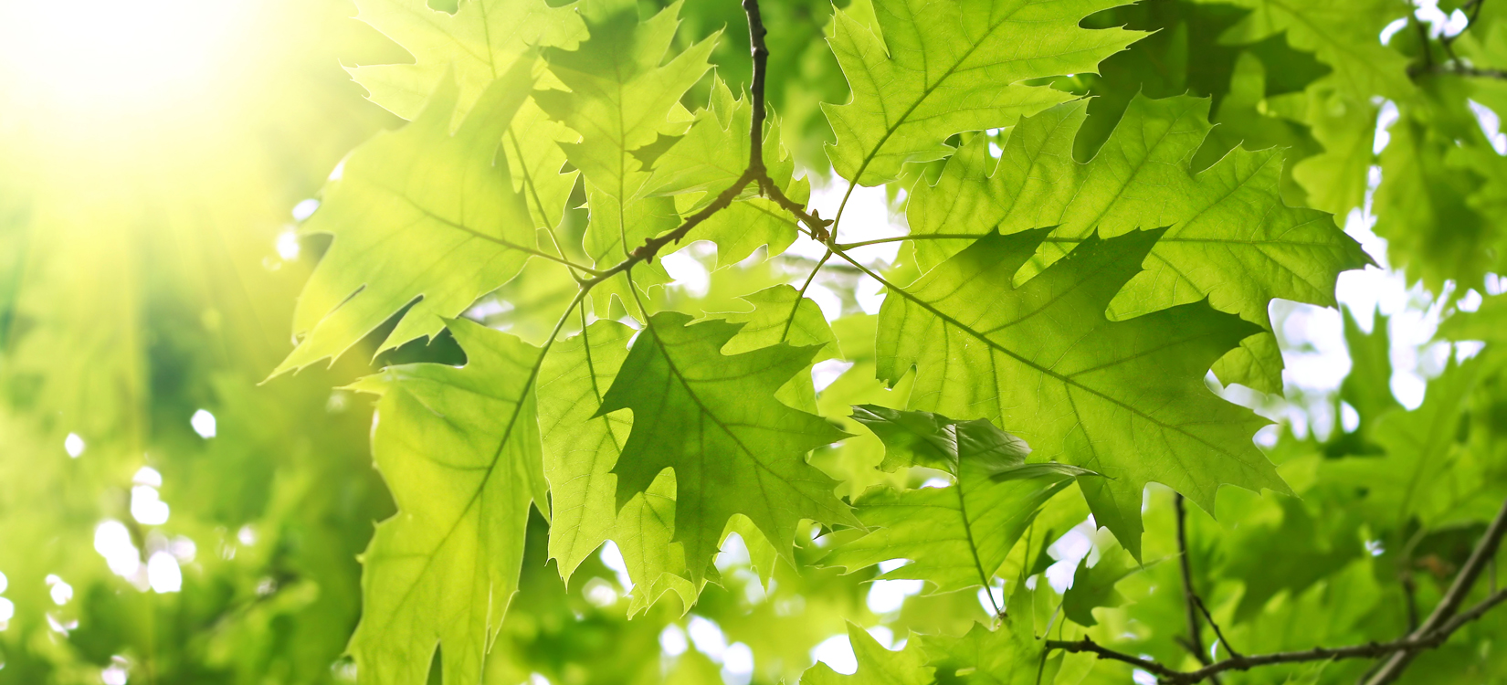 Greenovation HK Limited